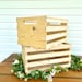 Build Plans for 2 Styles of Crates: 2 Crates From One 2x4 AND the Solid ...