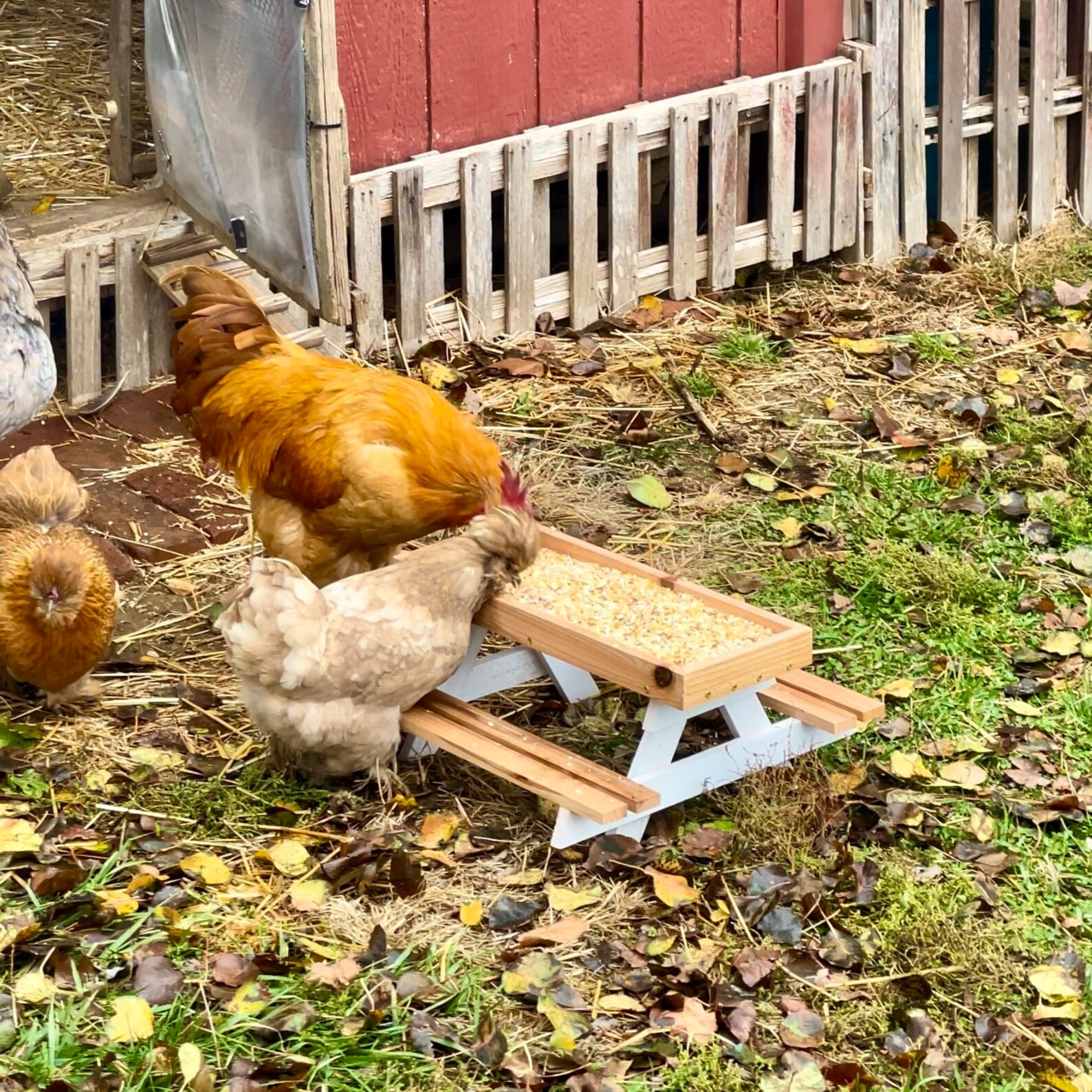 One Picket Chicnik Table Plans Digital Plans Chicken Table - Etsy