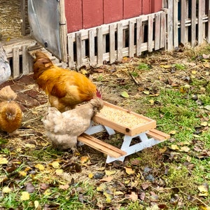 One Picket Chicnik Table Plans, Digital Plans, Chicken Table, Chicken ...