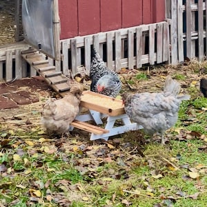 One Picket Chicnik Table Plans, Digital Plans, Chicken Table, Chicken ...