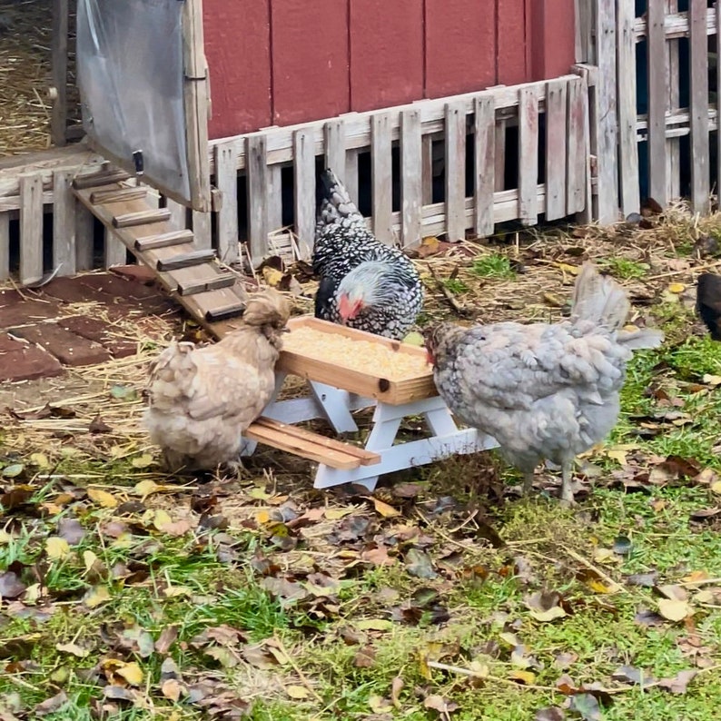 One Picket Chicnik Table Plans Digital Plans Chicken Table - Etsy