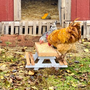 One Picket Chicnik Table Plans, Digital Plans, Chicken Table, Chicken ...