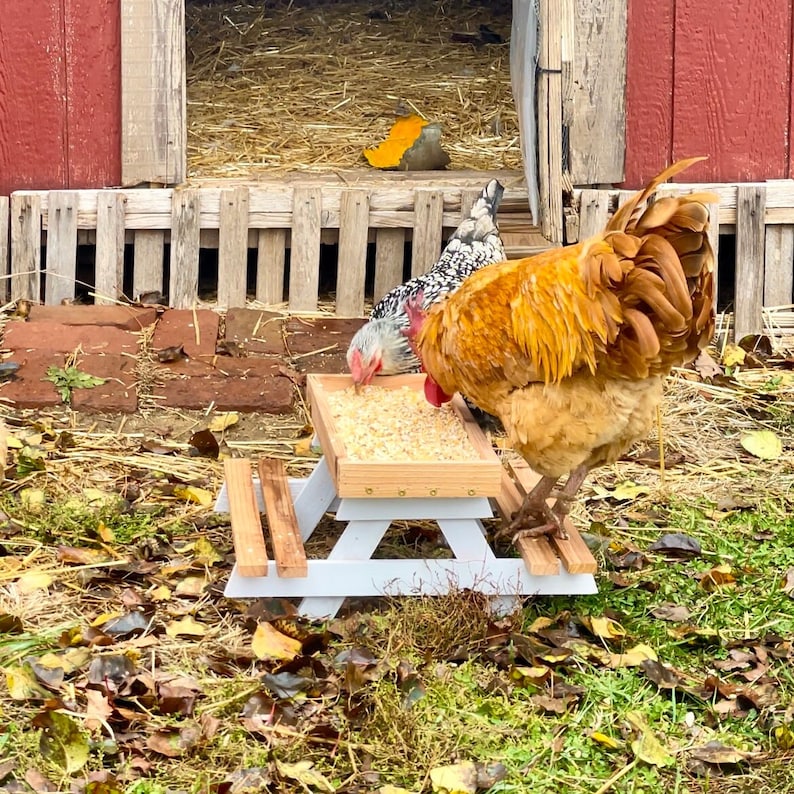 One Picket Chicnik Table Plans Digital Plans Chicken Table - Etsy