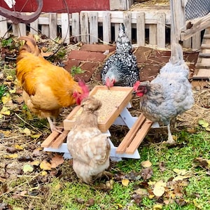 One Picket Chicnik Table Plans, Digital Plans, Chicken Table, Chicken ...