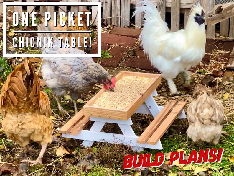 One Picket Chicnik Table Plans Digital Plans Chicken Table - Etsy