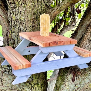 Squirrel Picnic Table Feeder Plans, Squirrel Table Plans, Pet Feeder ...
