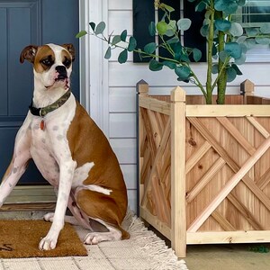 Large DIY Bush Plan, Tree, or Shrub Planter Plans, Large Planter Plans ...