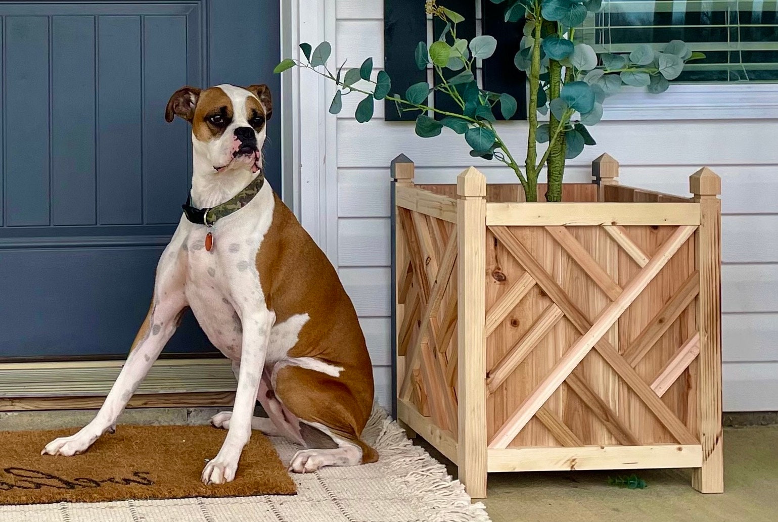 Large DIY Bush Tree or Shrub Planter Plans Large Planter - Etsy UK