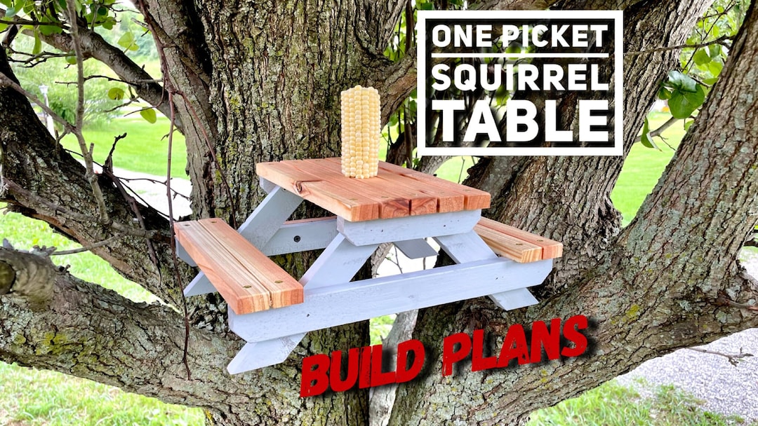 Squirrel Picnic Table Feeder Plans, Squirrel Table Plans, Pet Feeder Plans, DIY Squirrel Feeder ...