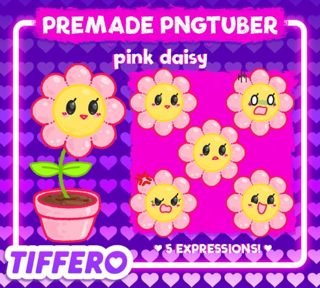 Premade Pngtuber Model Pink Daisy (5 Expressions), Vtuber, Twitch, OBS ...