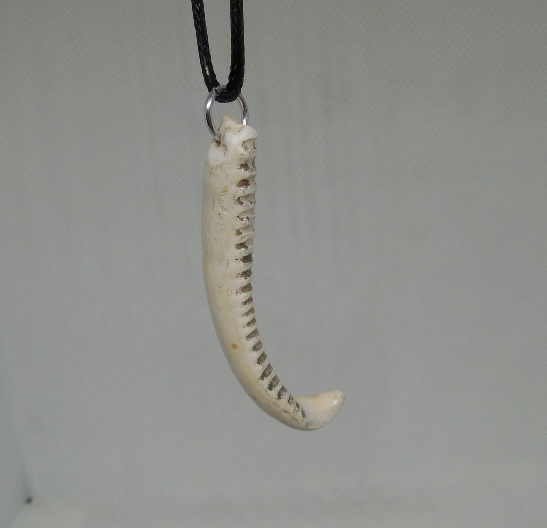 Ancient Claw Amulet, Ancient Suspension, Original Ancient Decoration ...