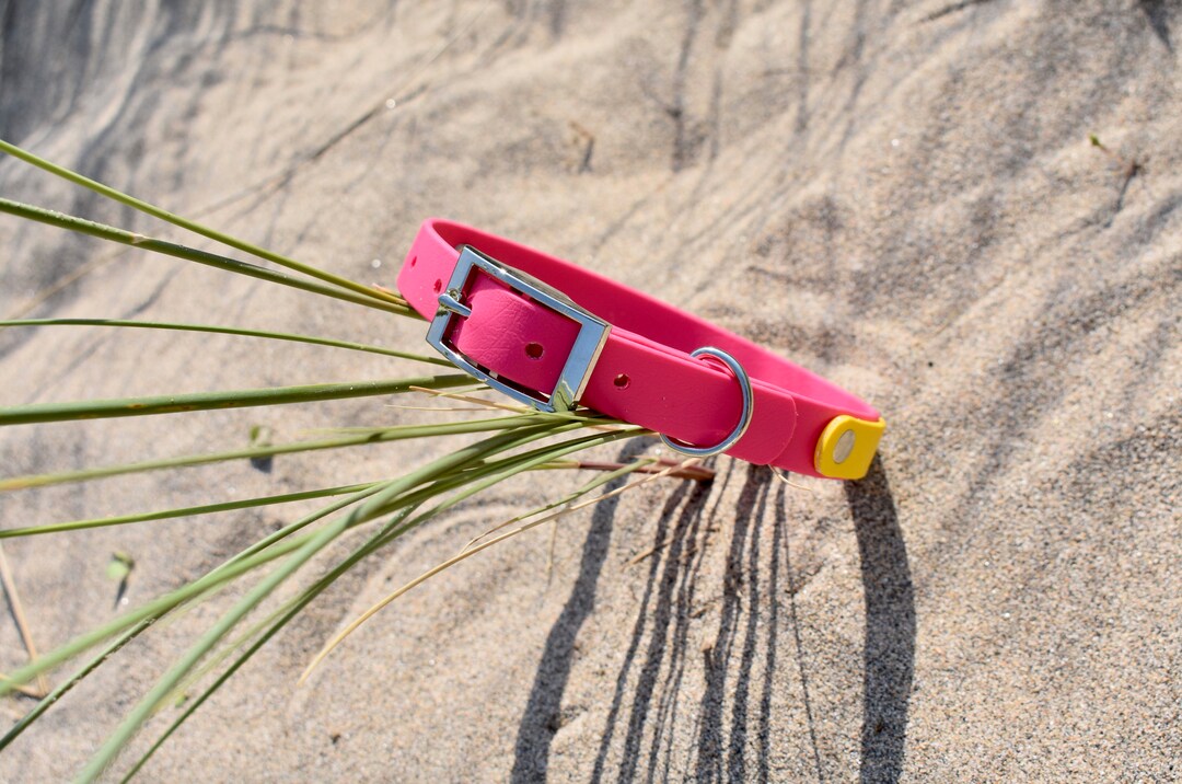 Fuchsia & Yellow Biothane® Collar - Etsy
