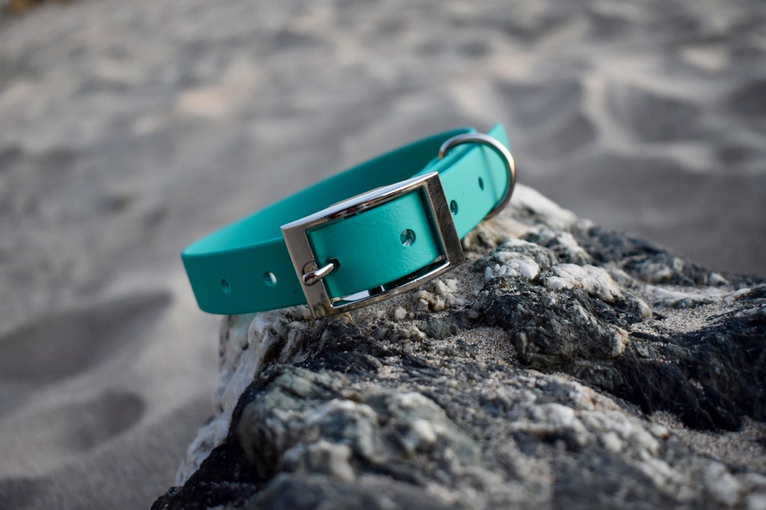 Teal Biothane® Collar - Etsy