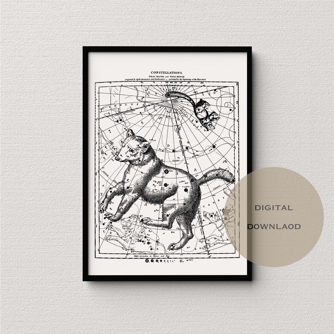 Stellar Constellations Map Ursa Minor and Ursa Major Celestial ...