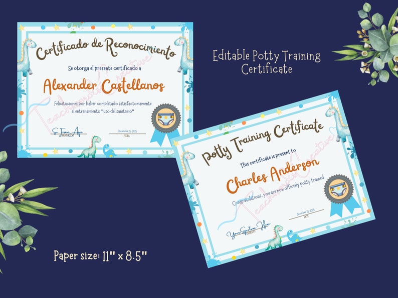 Bathroom Routine Visual Picture Communication Cards Toilet - Etsy