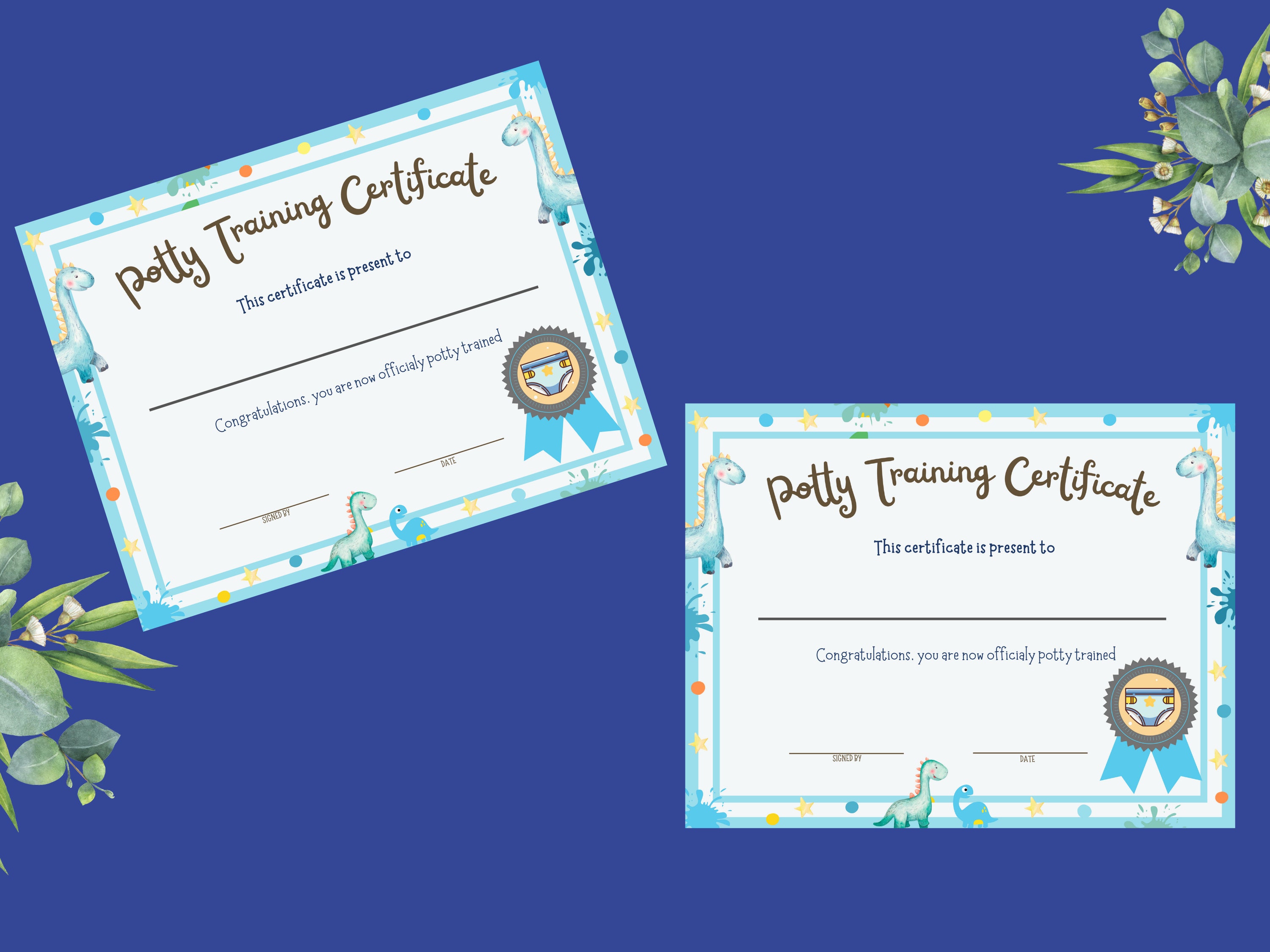 Boys Potty Training Certificate School Educational Award Home Toilet ...