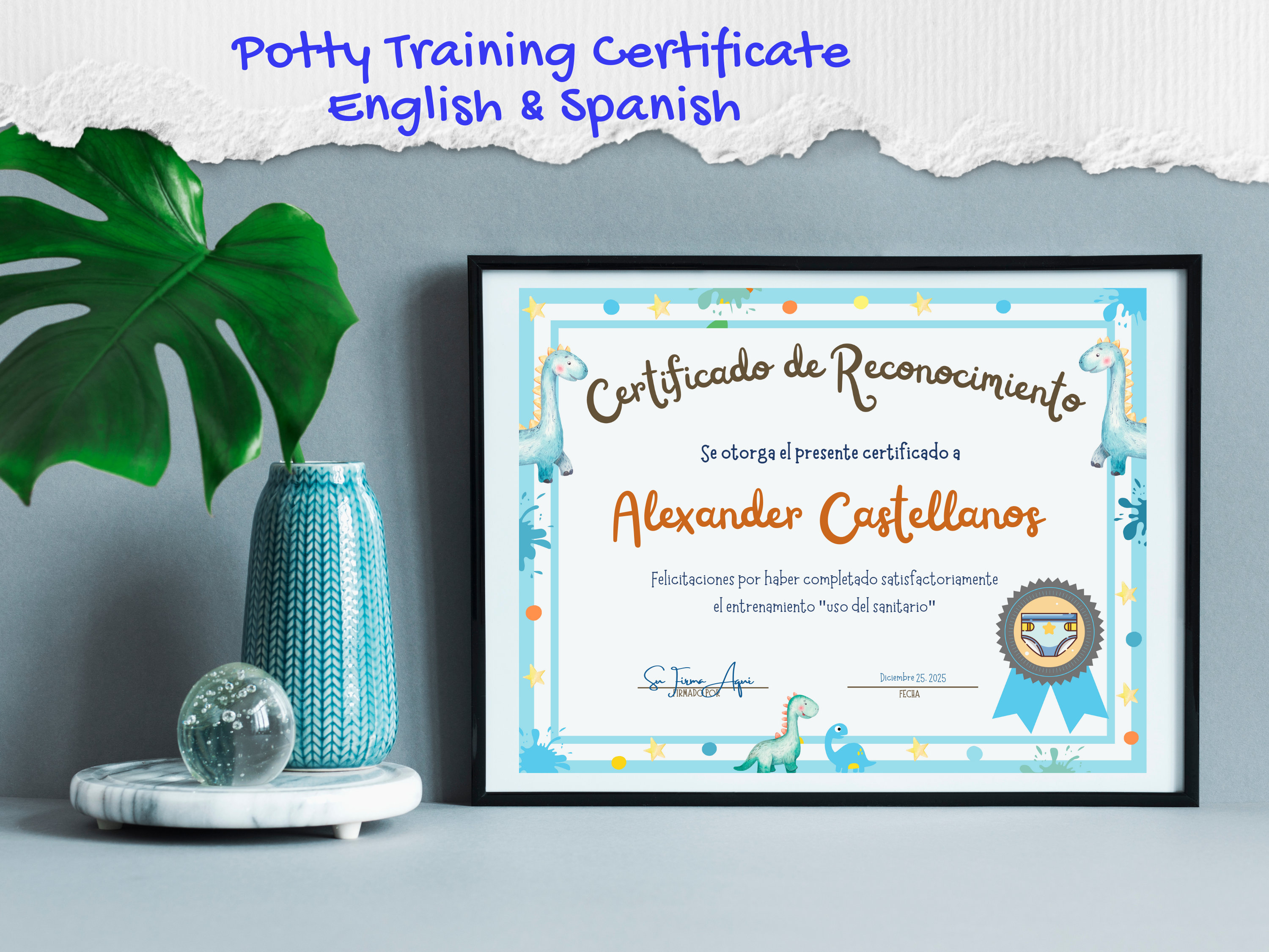 Boys Potty Training Certificate School Educational Award Home Toilet ...