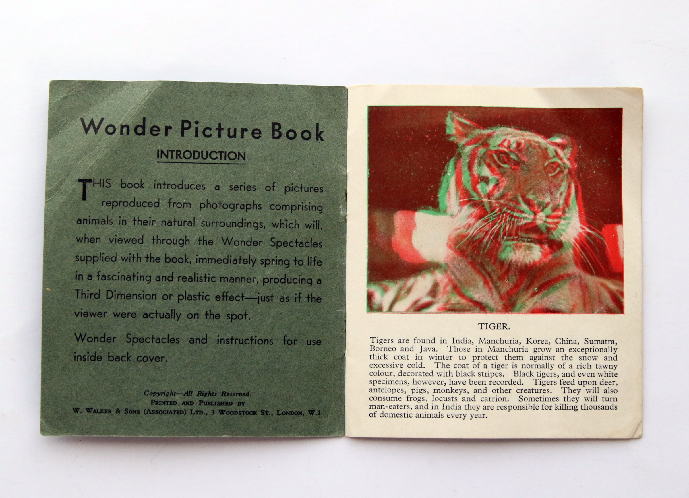 WONDER PICTURE BOOK With Original 3D Spectacles C1940s - Etsy