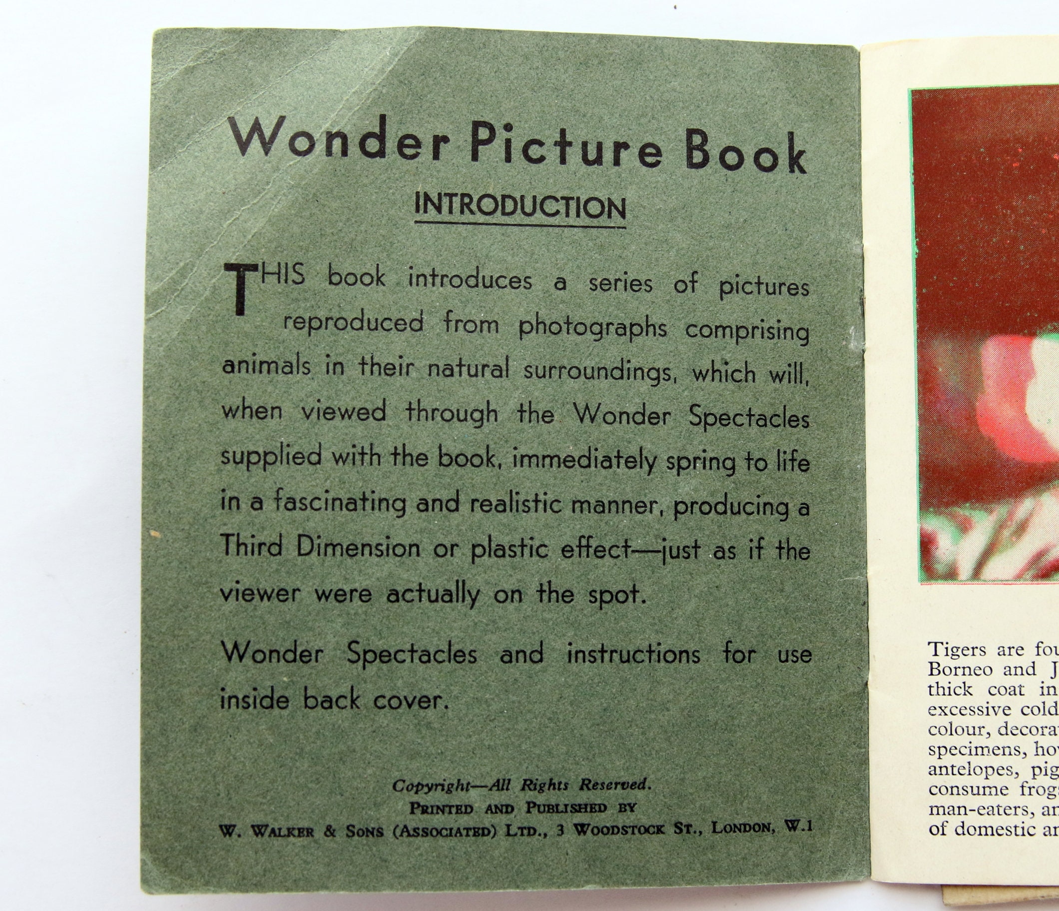 WONDER PICTURE BOOK With Original 3D Spectacles C1940s - Etsy