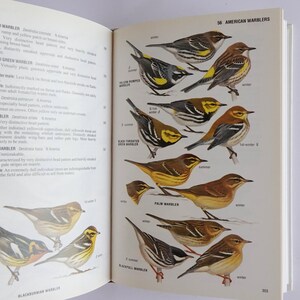 A Field Guide to the RARE BIRDS of Britain and Europe - 1991 - Etsy