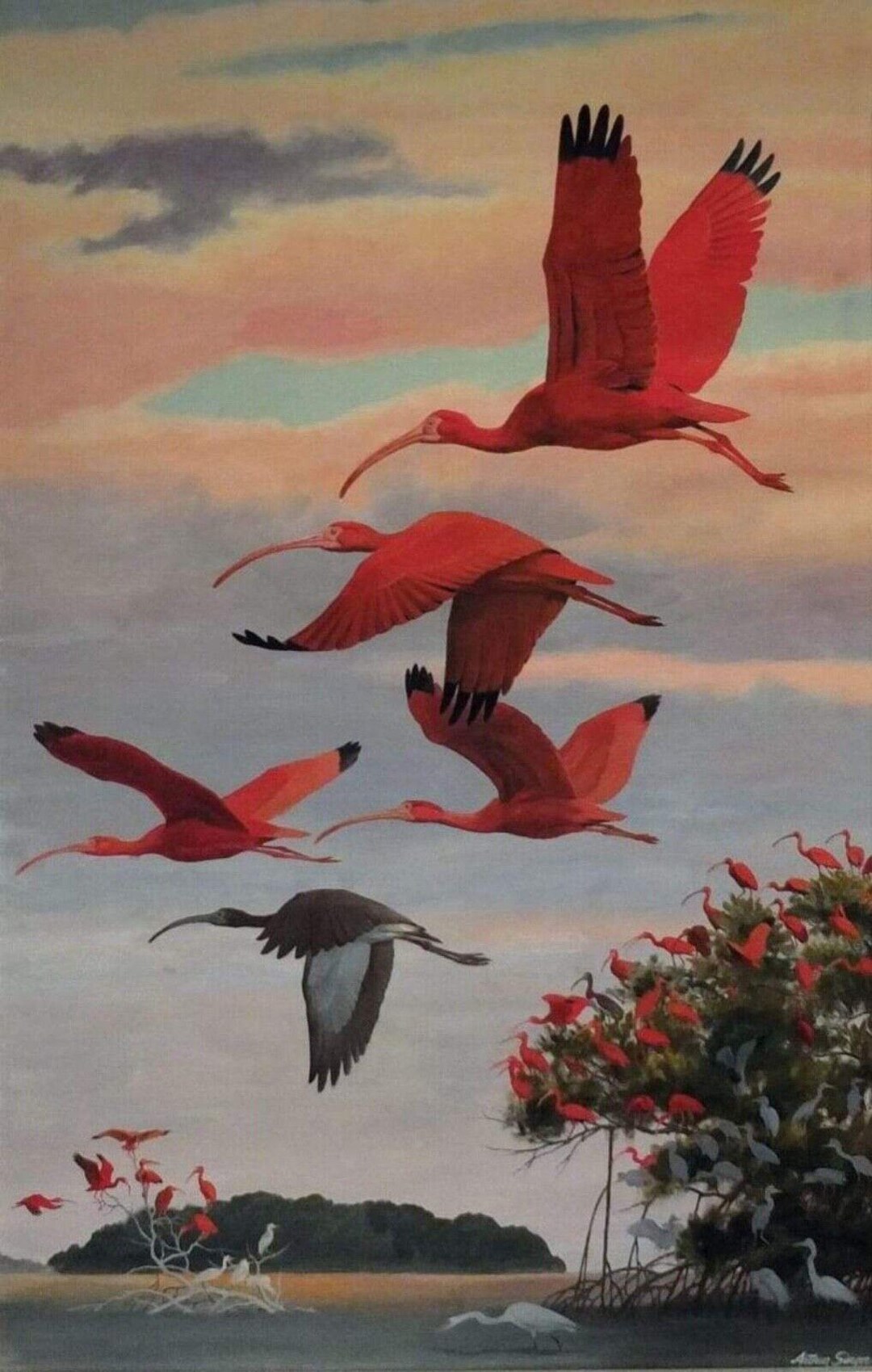 Flying Scarlet Ibises : Arthur Singer Archival Quality Print - Etsy