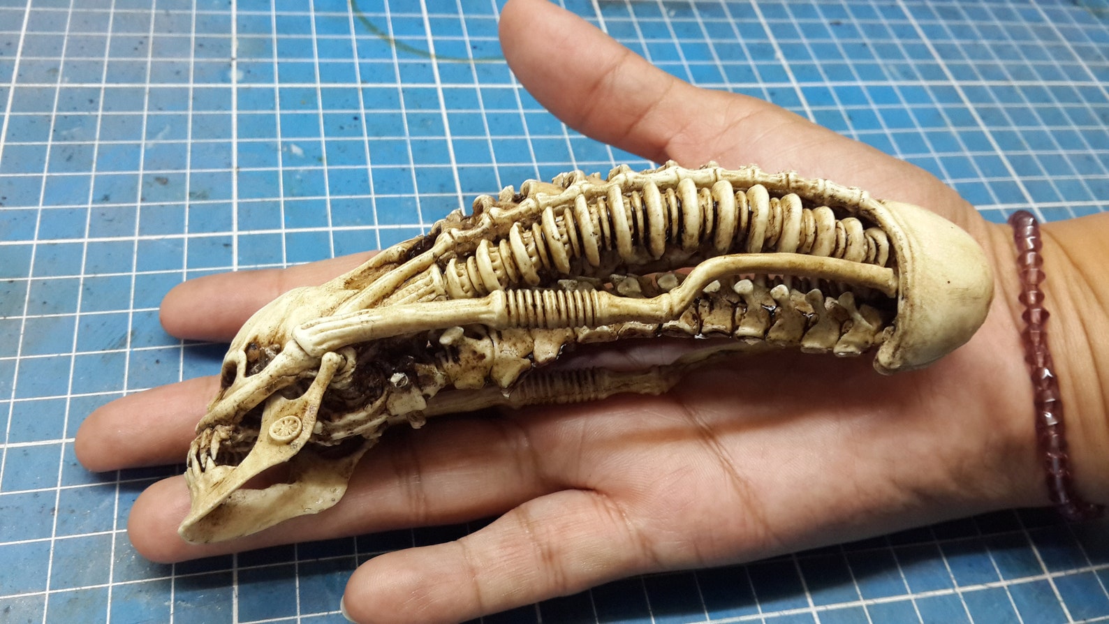 Xenomorph Alien Skull 1/6 Scale - Etsy