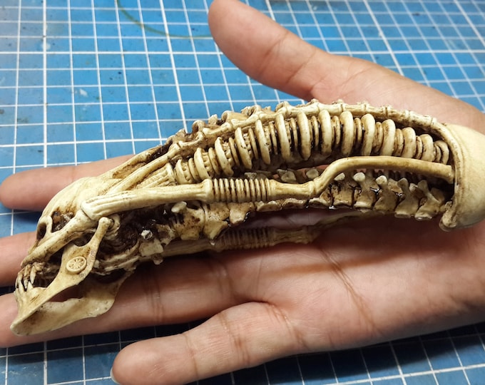 Xenomorph Alien Skull 1/6 Scale - Etsy