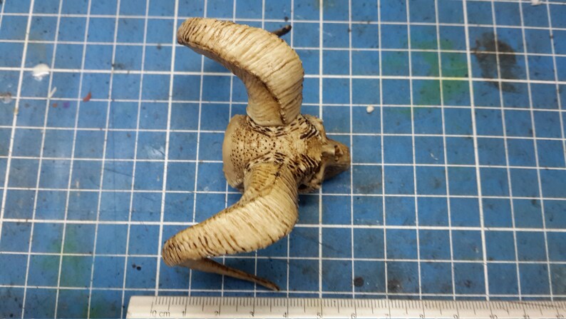 1/6 Scale Devil Skull Moveable Jaw - Etsy