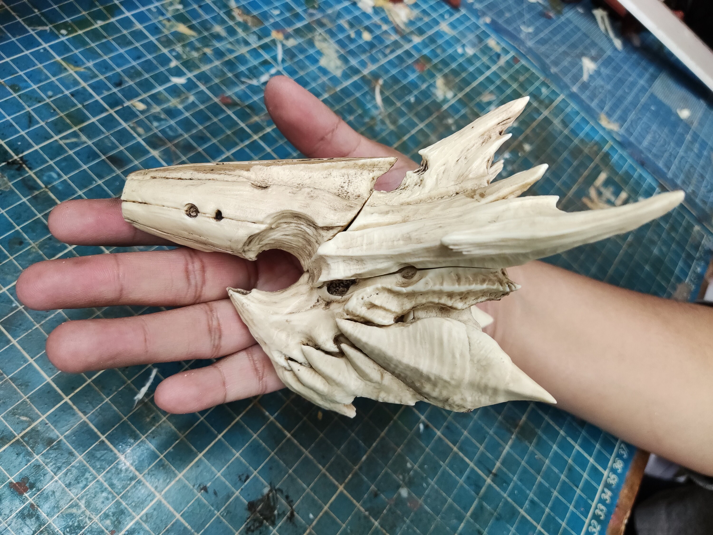 Dragon Brachi-dios Skull (with Articulated Jaw) PETIT Size - Etsy