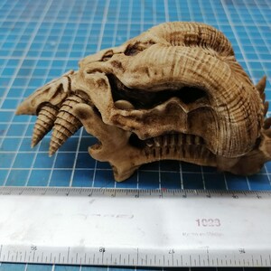 Alien Skull "predator 2" 1/6 Scale (trophy Skull) - Etsy