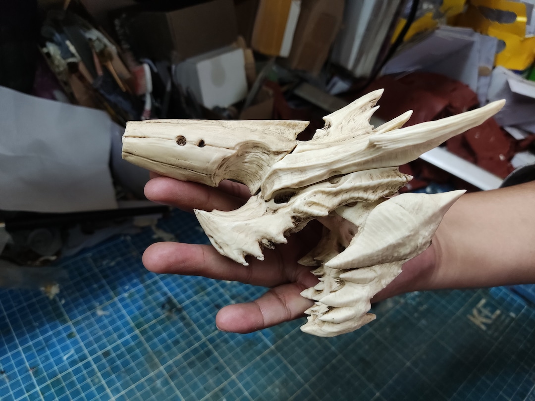 Dragon Brachi-dios Skull (with Articulated Jaw) PETIT Size - Etsy