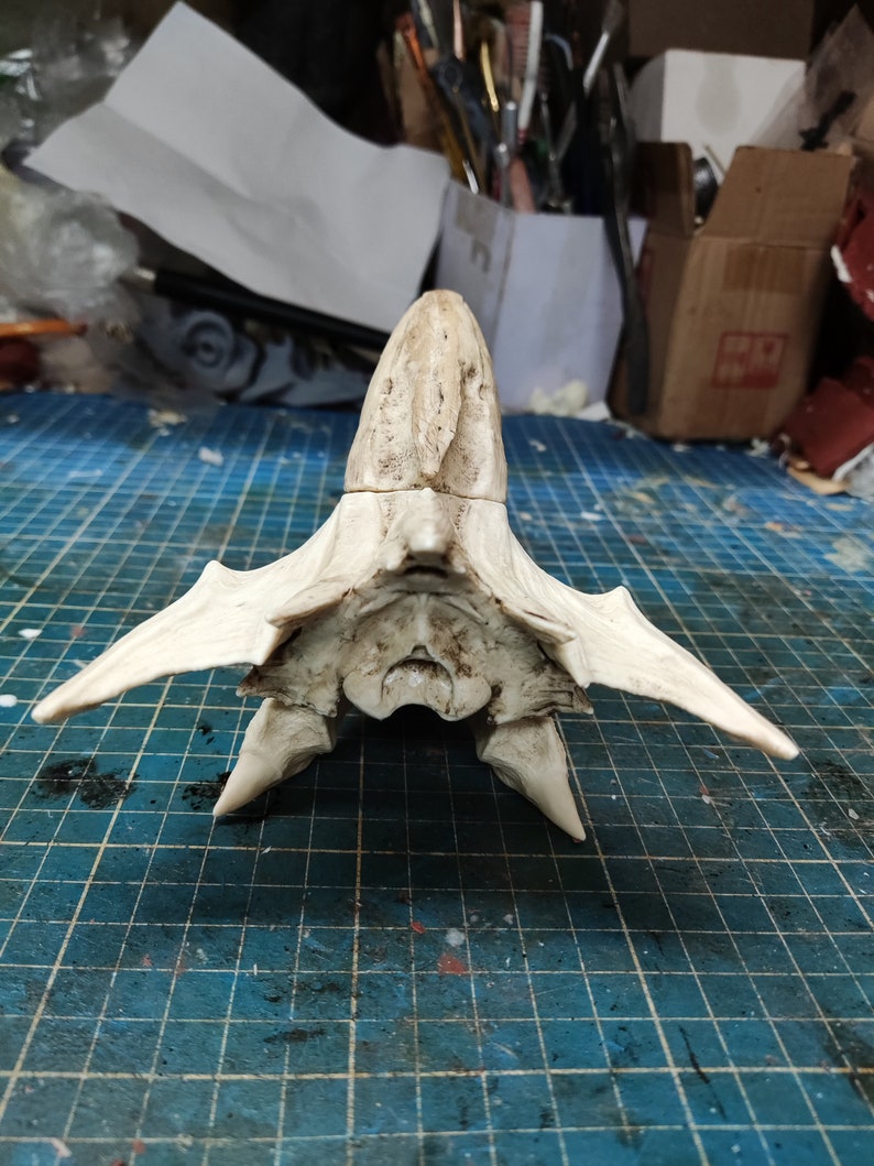 Dragon Brachi-dios Skull (with Articulated Jaw) PETIT Size - Etsy