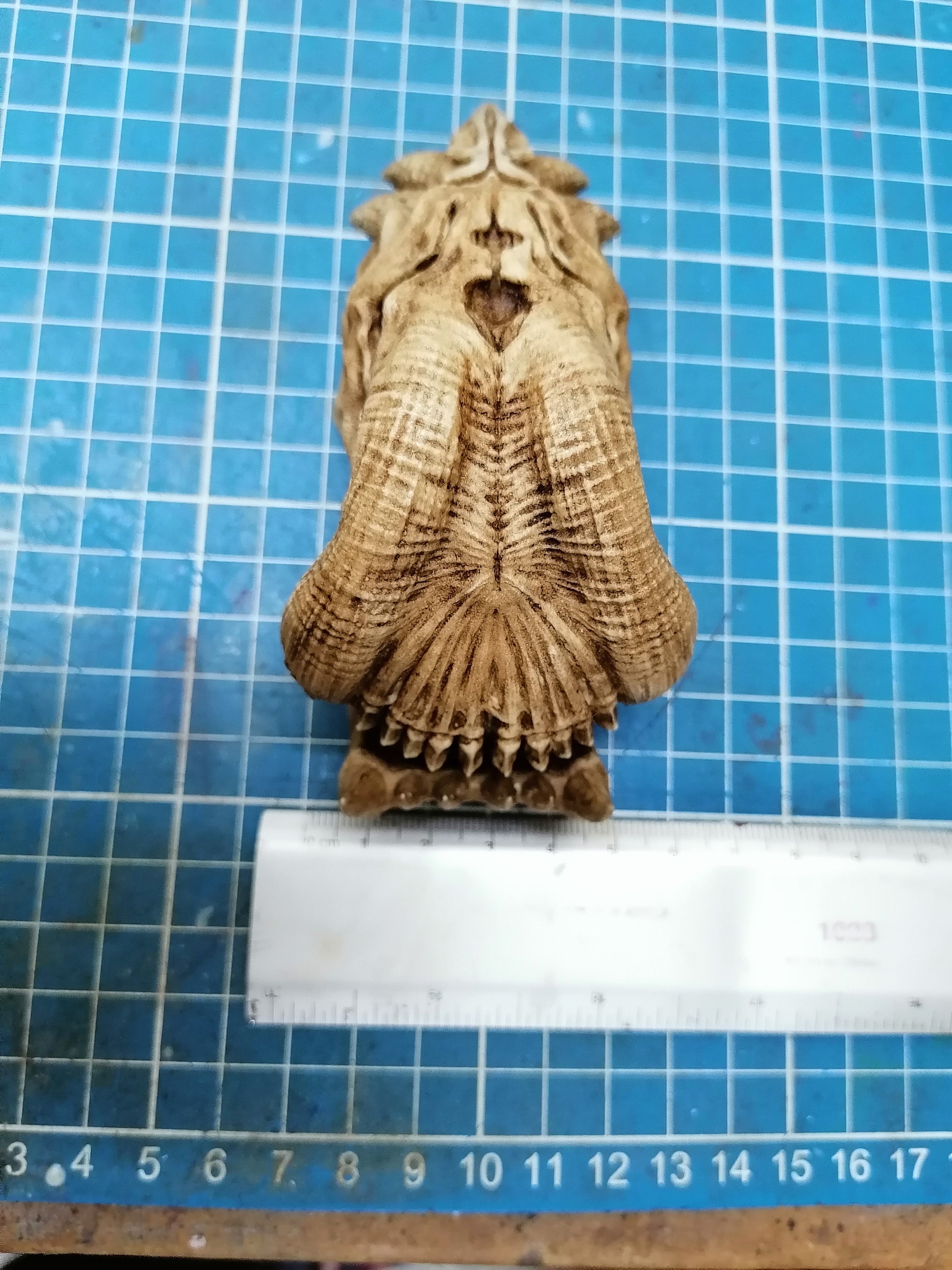 Alien Skull predator 2 1/6 Scale trophy Skull | Etsy