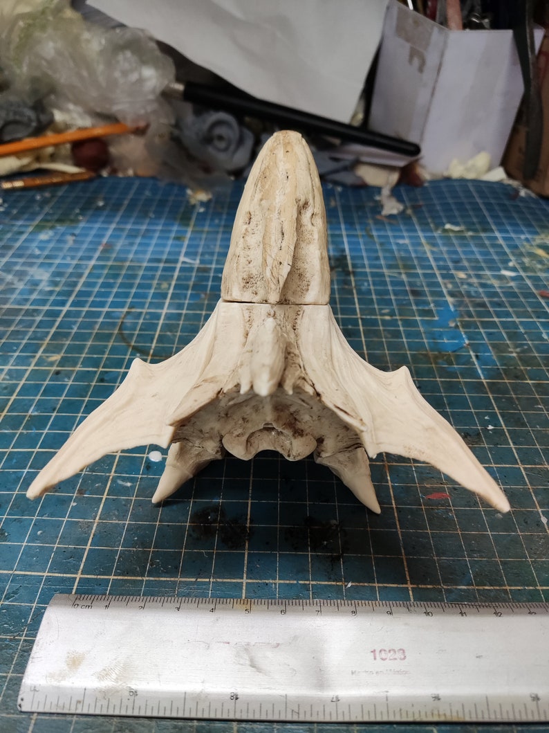 Dragon Brachi-dios Skull (with Articulated Jaw) PETIT Size - Etsy