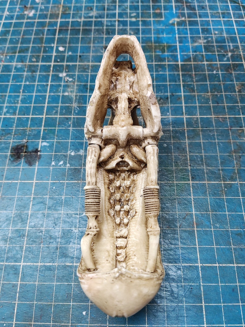 Xenolion Skull Based on Giger Artaliens - Etsy