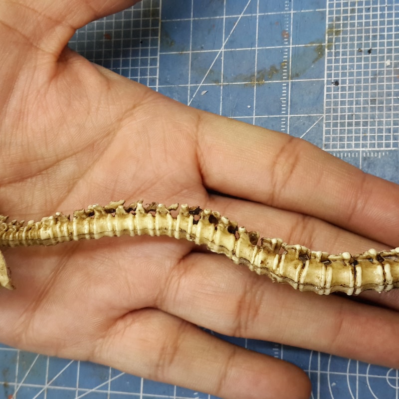 Human Scale Figure - Etsy