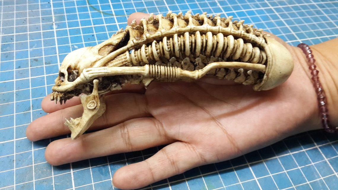 Xenomorph Alien Skull 1/6 Scale - Etsy