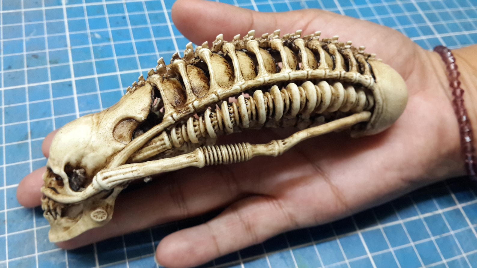 Xenomorph Alien Skull 1/6 Scale - Etsy