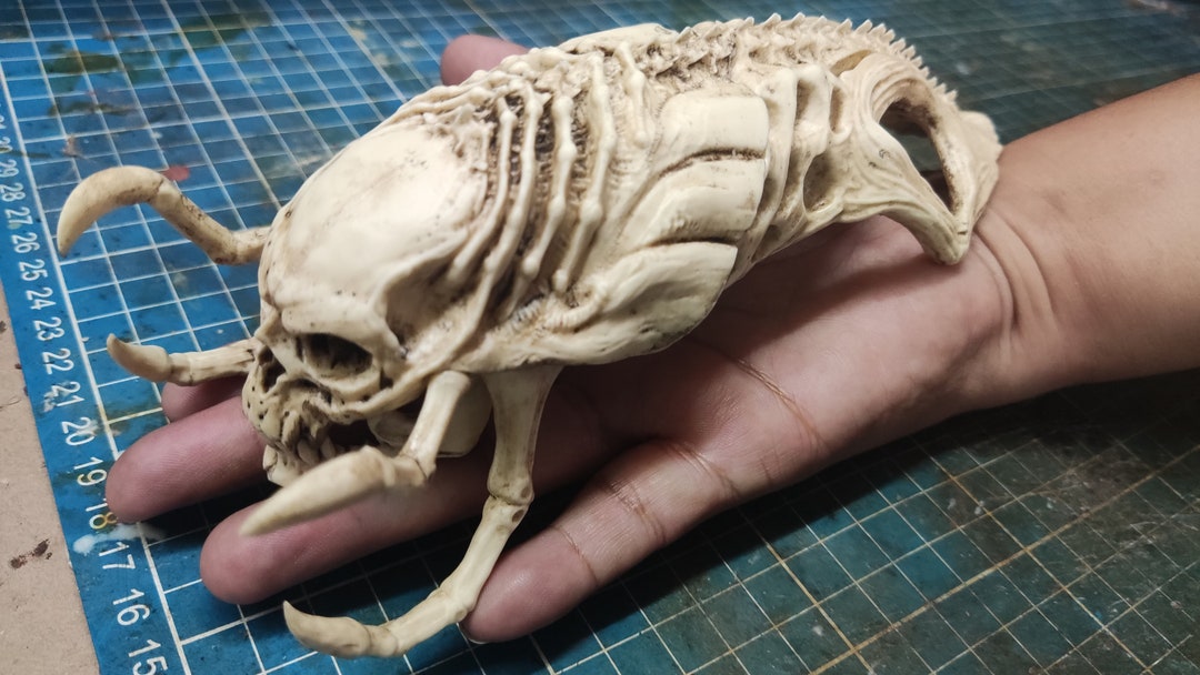 Extraterestrial Pred-alien Skull Based on Giger Art - Etsy
