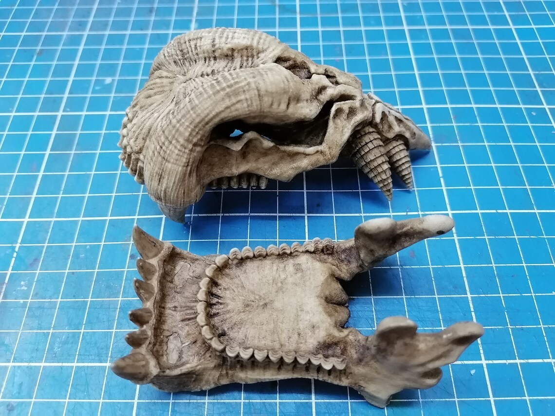 Alien Skull predator 2 1/6 Scale trophy Skull | Etsy