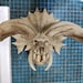 Diablos Skull monster Hunter - Etsy