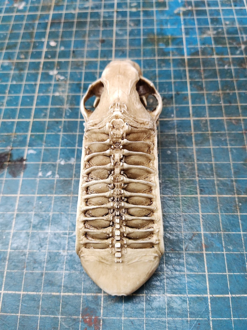 Xenolion Skull Based on Giger Artaliens - Etsy