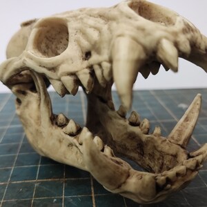 Odogaron Skull "monster Hunter" - Etsy