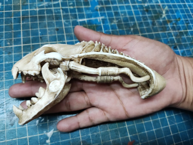 Xenolion Skull Based on Giger Artaliens - Etsy