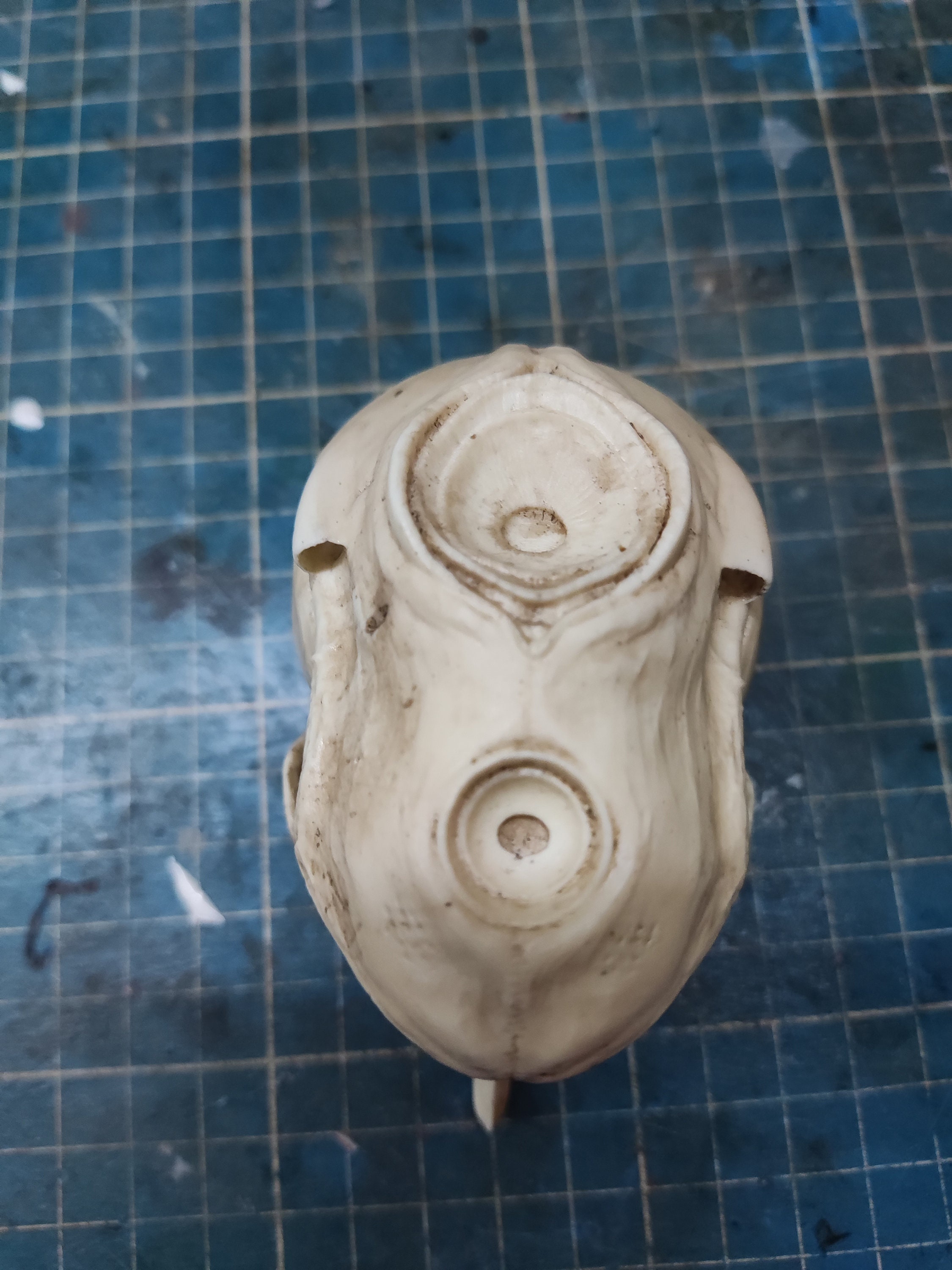 EVA00 Skull evangelion Moveable Jaw - Etsy