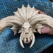 Diablos Skull monster Hunter - Etsy