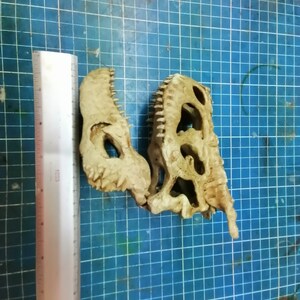 Tigrex Skull "monster Hunter" - Etsy