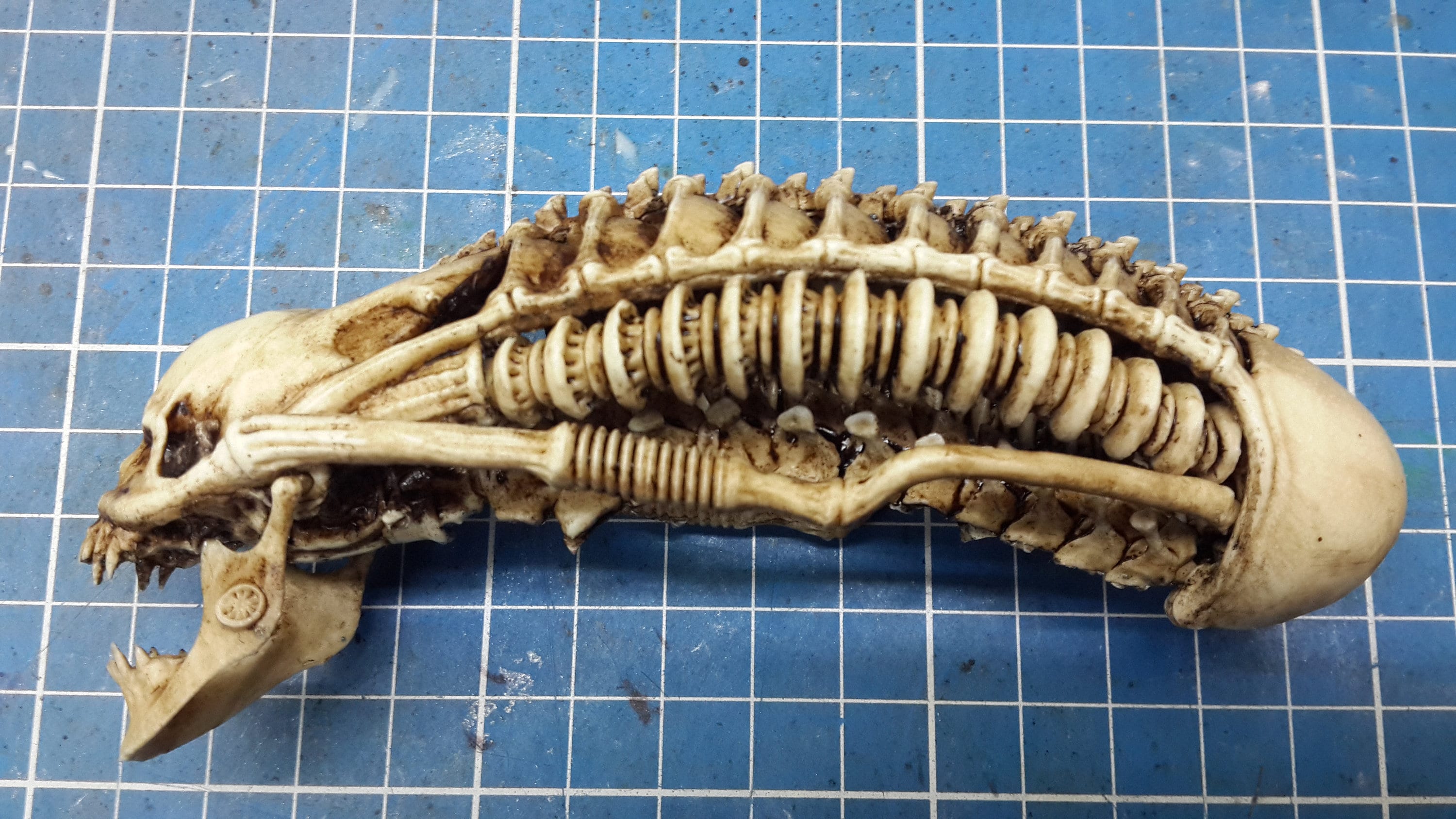 Xenomorph Alien Skull 1/6 Scale - Etsy