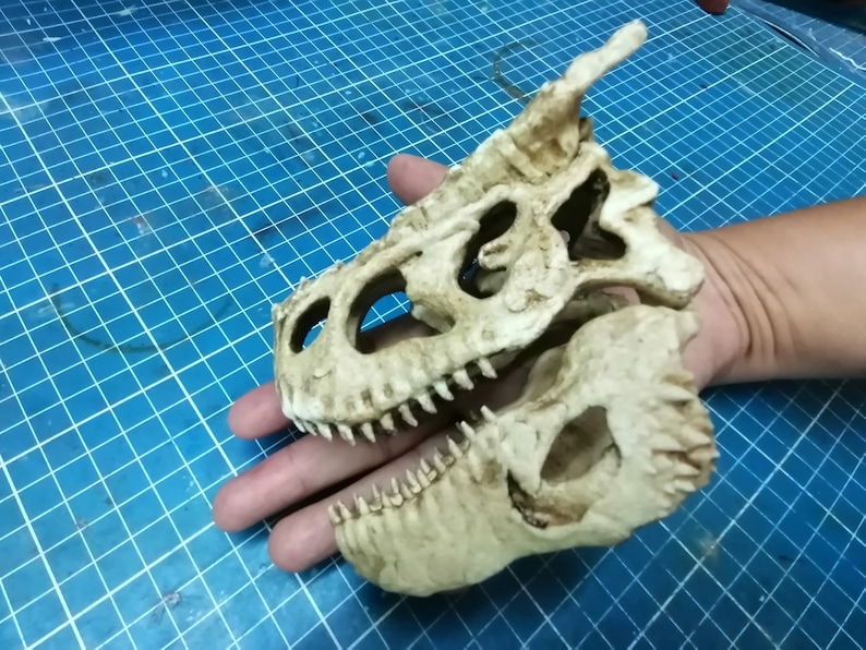 Tigrex Skull monster Hunter - Etsy
