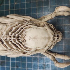 Predalien Skull Based on Giger Art(aliens VS Predator) - Etsy